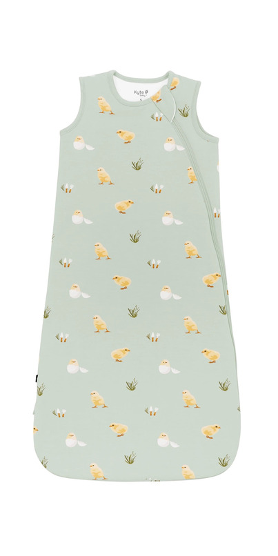 Achetez la gigoteuse Kyte BABY Aloe Chick 1.0 TOG chez Well.ca ...