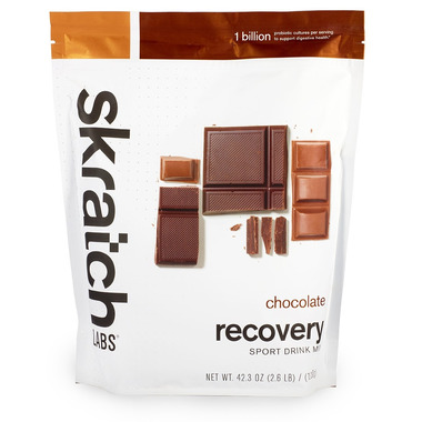 Buy Skratch Labs Sport Recovery Drink Mix Chocolate at Well.ca | Free ...