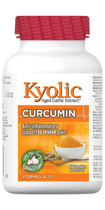 Buy Kyolic Formula 111 Anti-Inflammatory with Curcumin at Well.ca ...