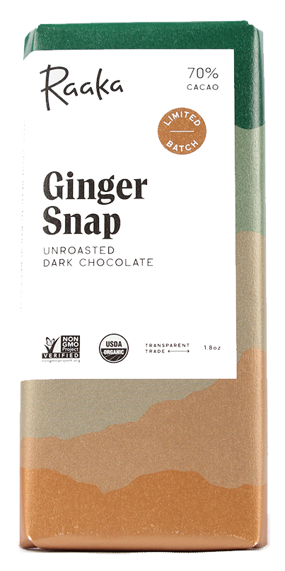 Buy Raaka Ginger Snap Unroasted Dark Chocolate at Well.ca | Free ...