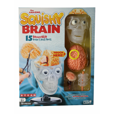 Buy Smart Lab Amazing Squishy Brain at Well.ca | Free Shipping $35+ in ...
