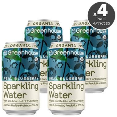 Buy Greenhouse Juice Co. Real Blueberry Probiotic Sparkling Water Bundle at Well.ca | Free ...