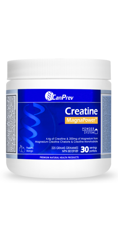 Buy CanPrev Creatine MagnaPower Powder Peach Mango at Well.ca | Free ...