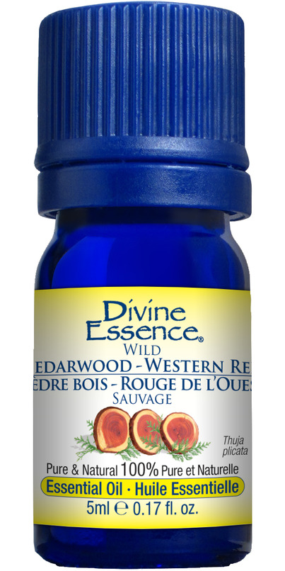 Buy Divine Essence Western Red Cedarwood Essential Oil at Well.ca ...